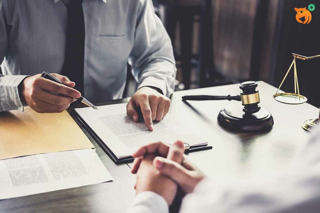 Mengenal Indemnity dalam Asuransi: Pengertian Prinsip, Penerapan ...